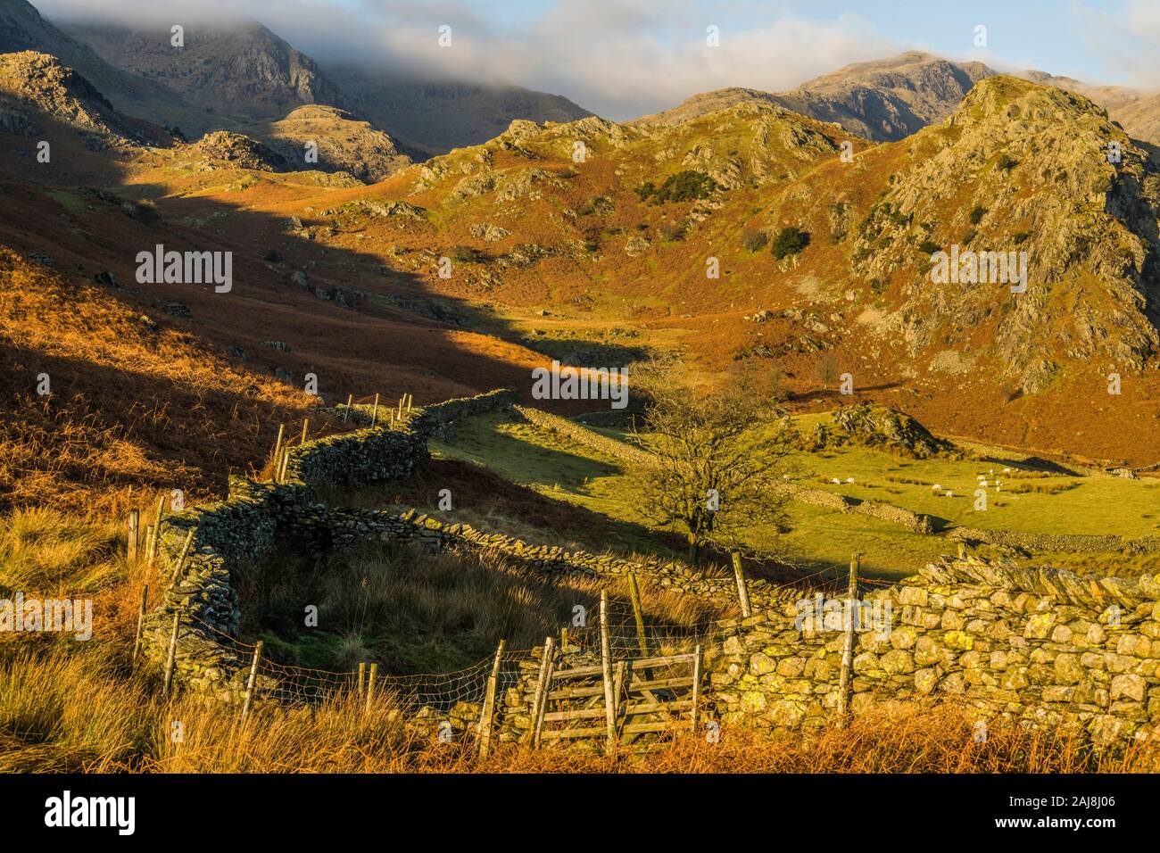 Landscape view of the Coniston Fells on a bright sunny winter day in ...