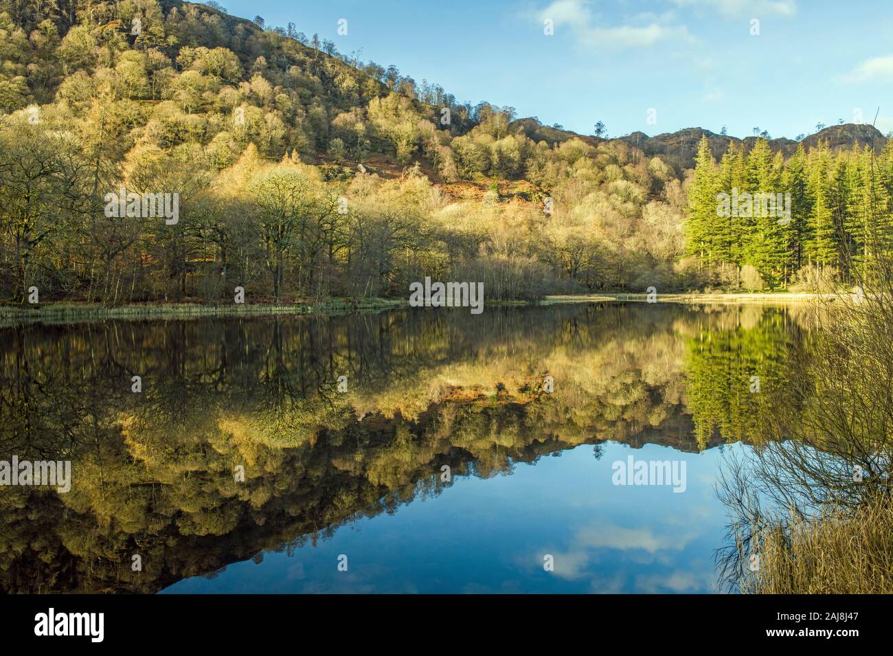 Yew Tree Tarn near Coniston in the Lake District National Park with ...