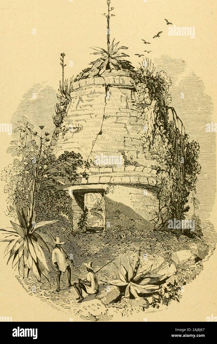 Ig noble hi-res stock photography and images - Alamy