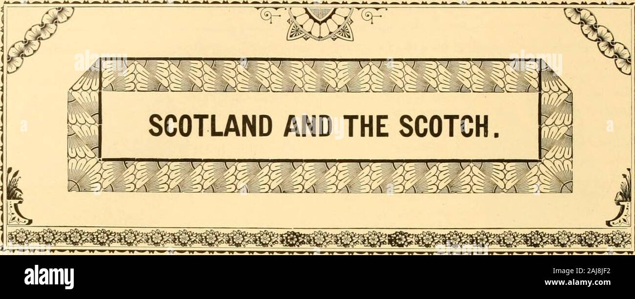 Darwin now hi-res stock photography and images - Alamy