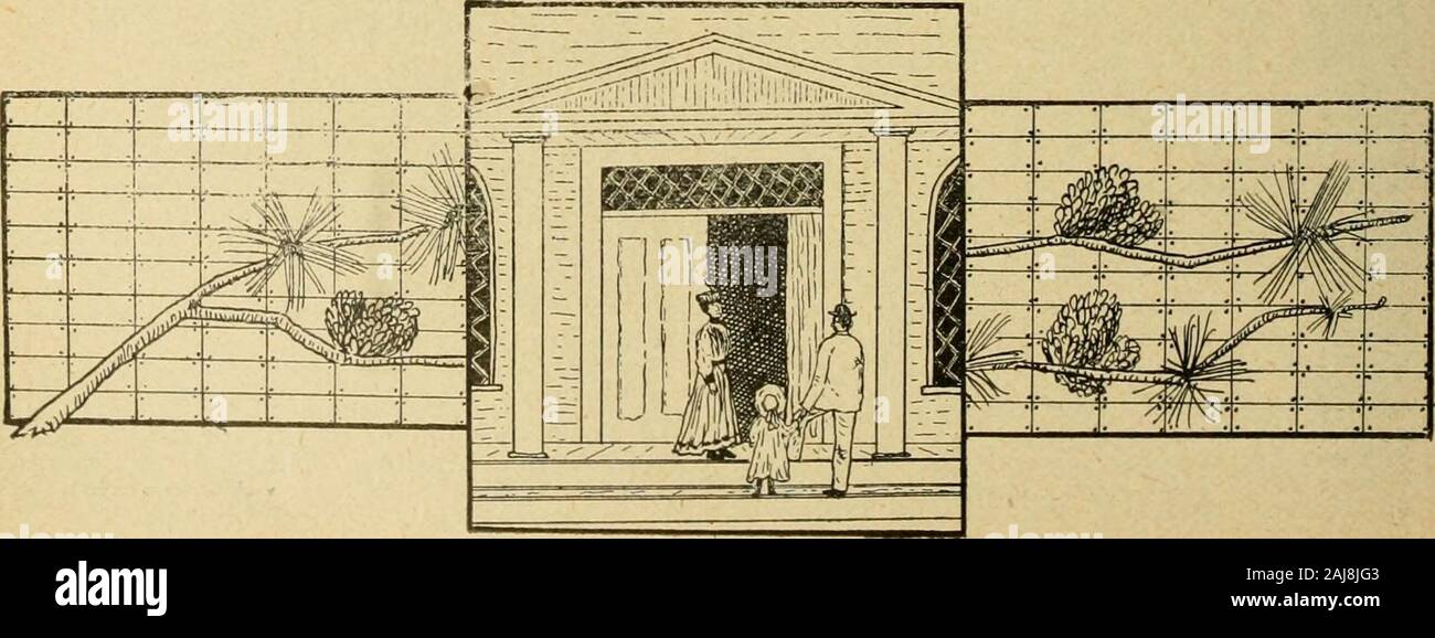 Sperline hi-res stock photography and images - Alamy