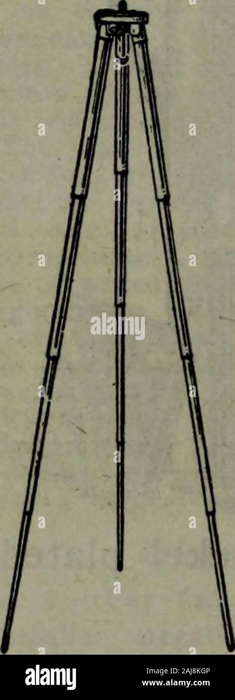 Triangular shaped head hi-res stock photography and images - Alamy