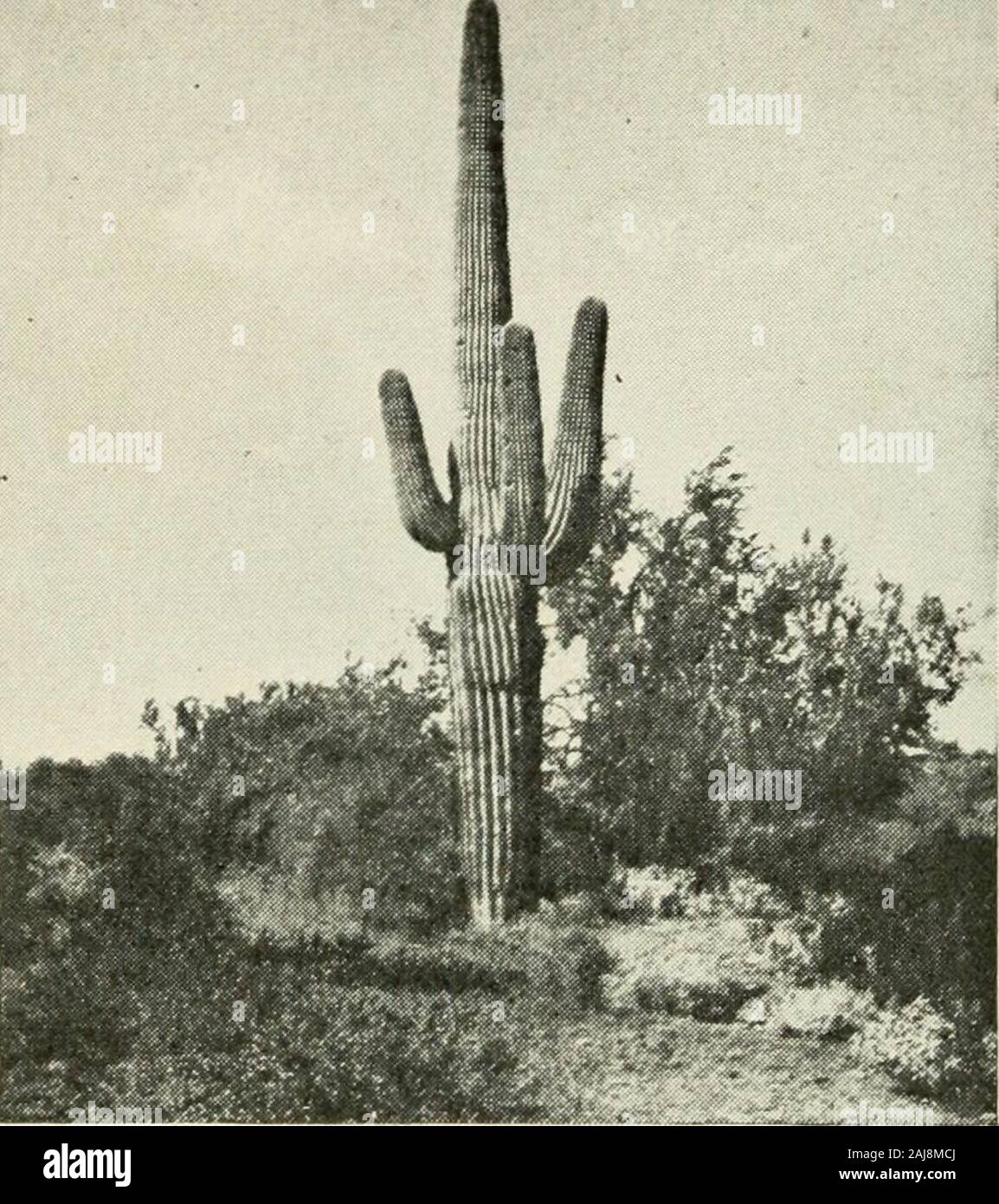 National Reclamation Act