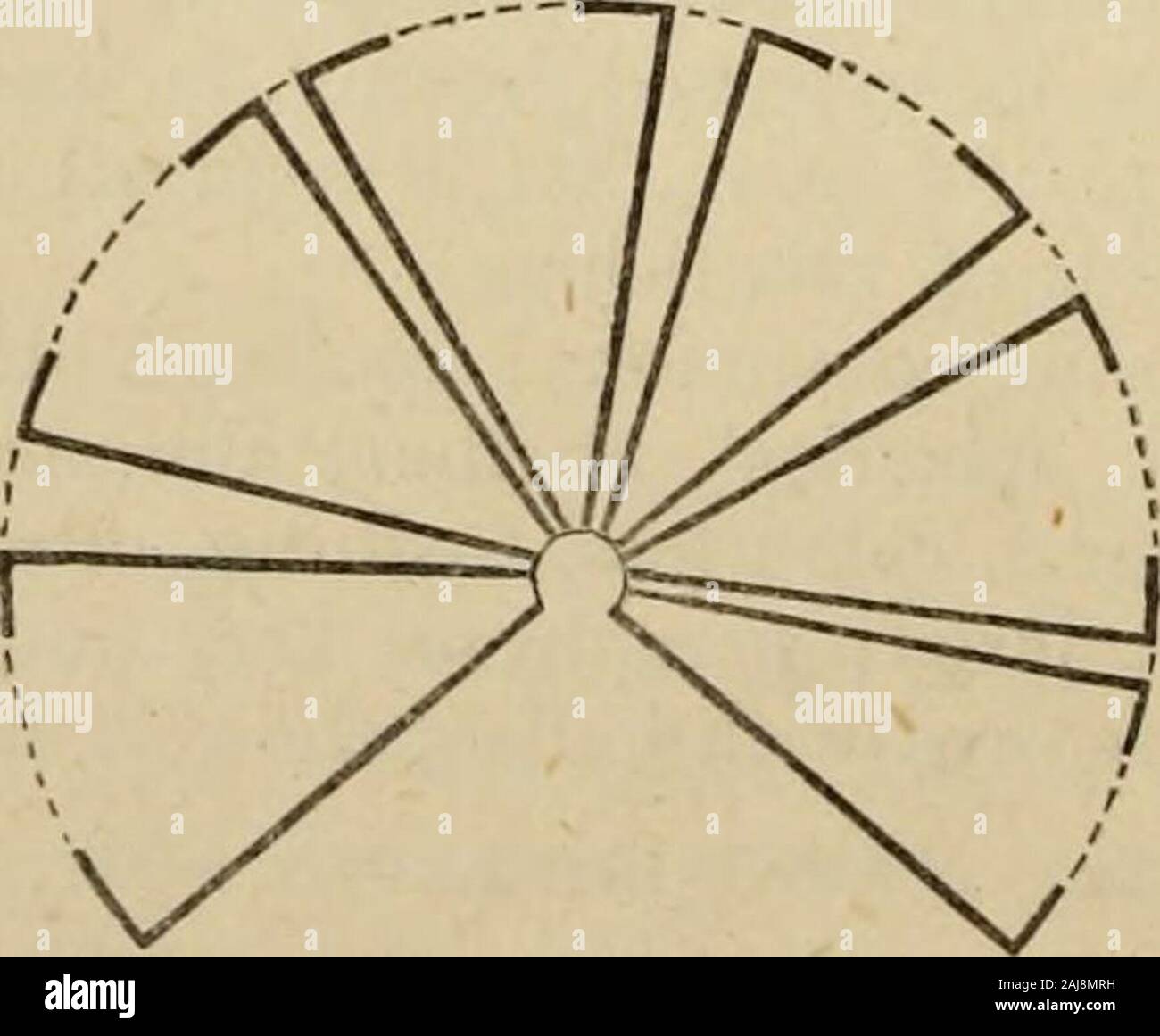 Frustule hi-res stock photography and images - Alamy