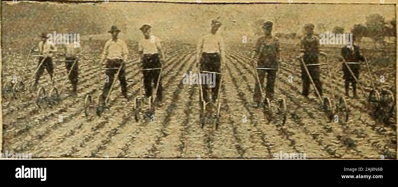 Iron age tools hi-res stock photography and images - Alamy