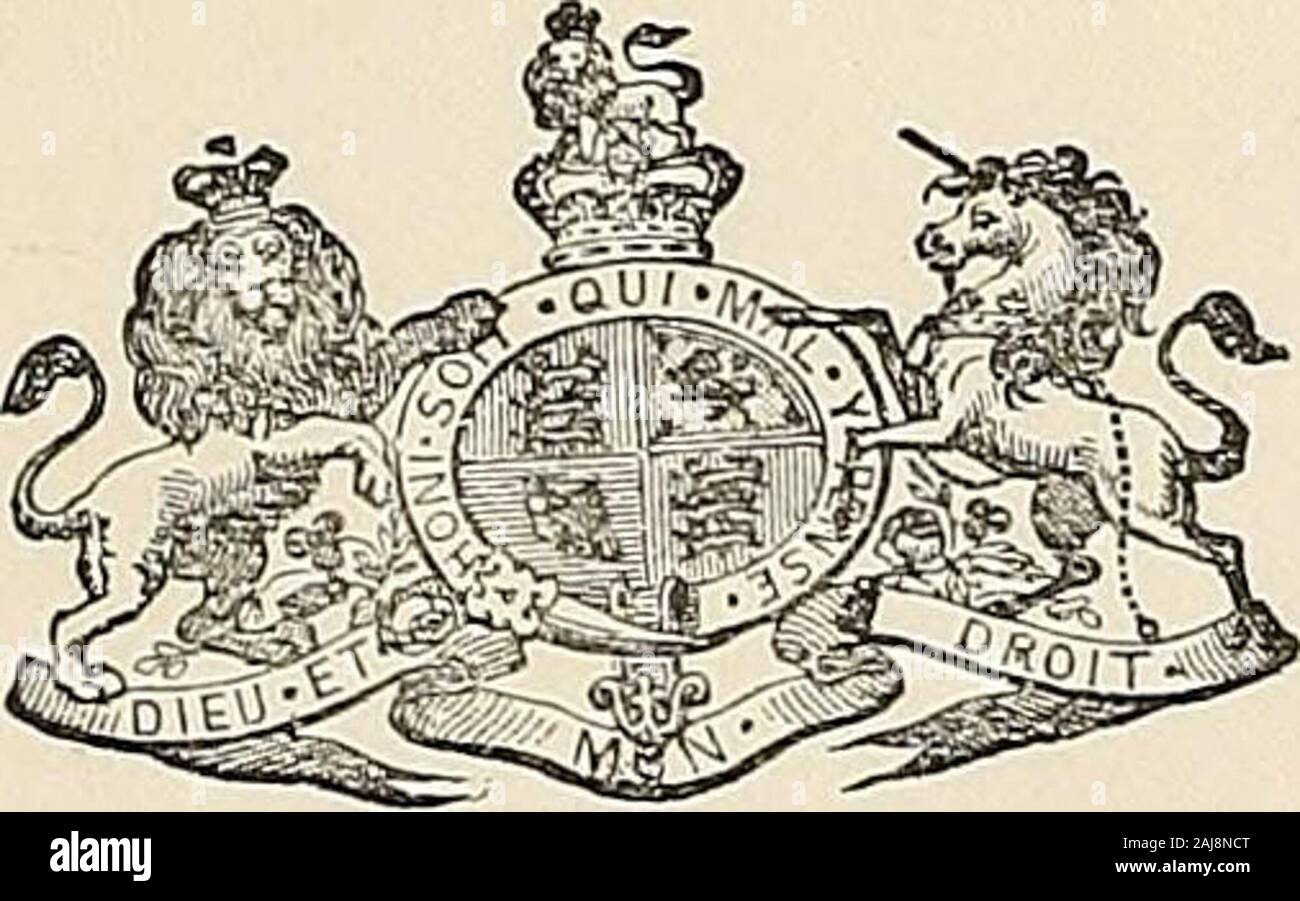 Tyrie mains hi-res stock photography and images - Alamy