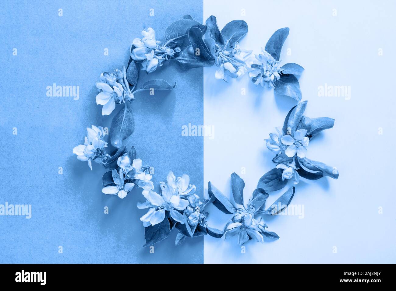 Classic blue 2020. Gradient color palette. Wreath of spring branches ...