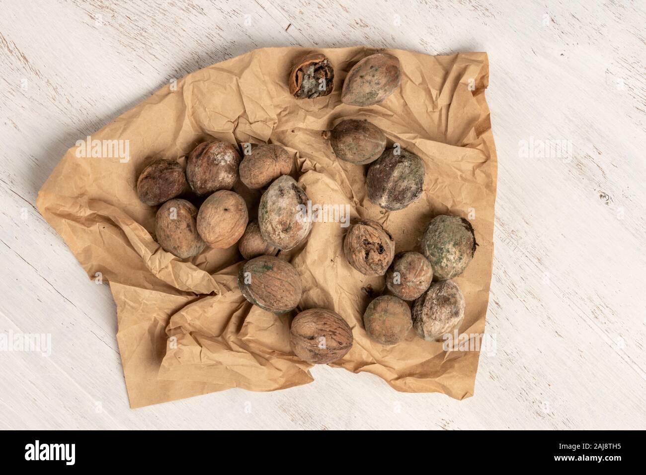 Rotten Walnut High Resolution Stock Photography and Images - Alamy