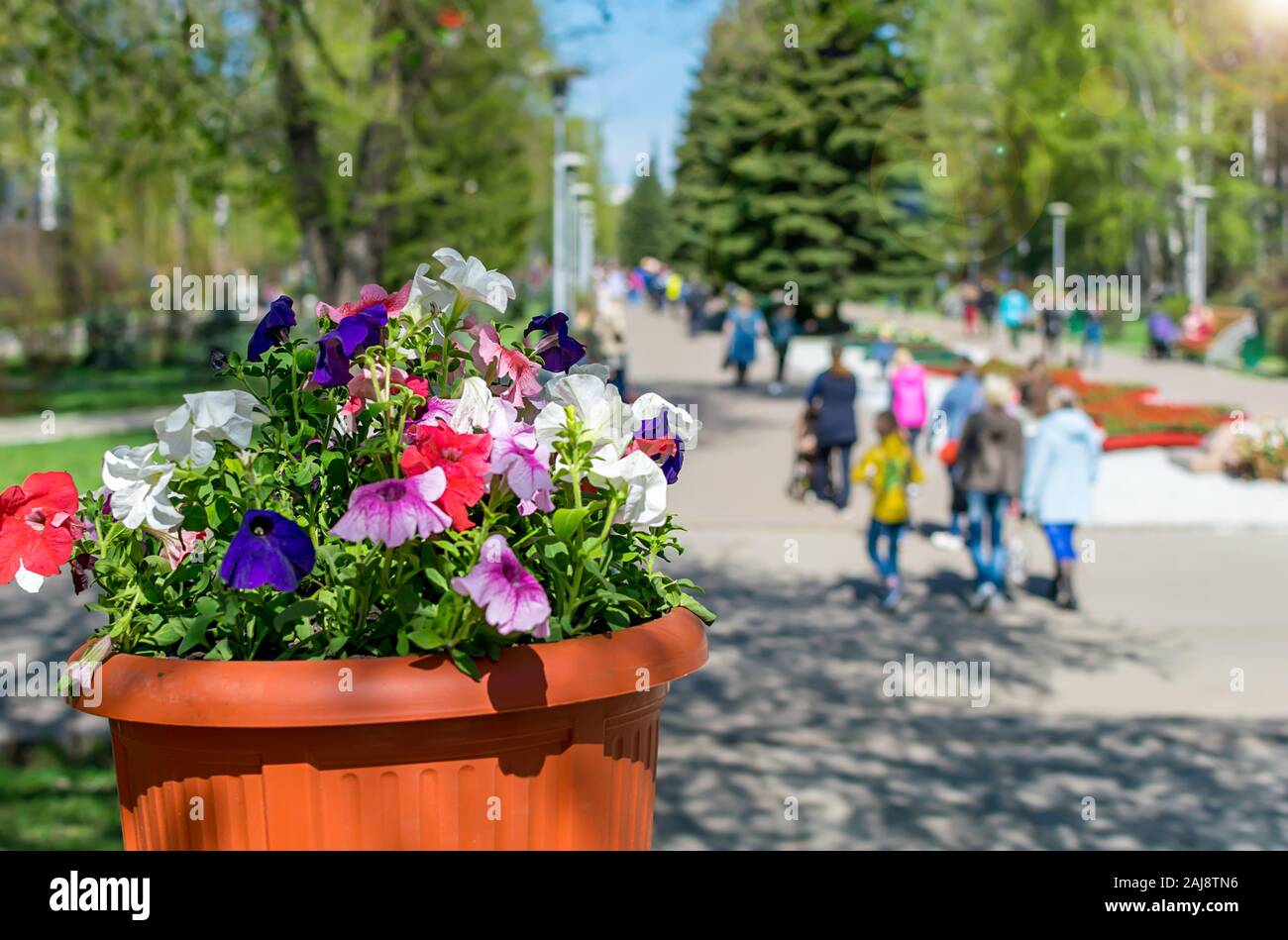 street pot with flowers on the background of people passing by in a ...