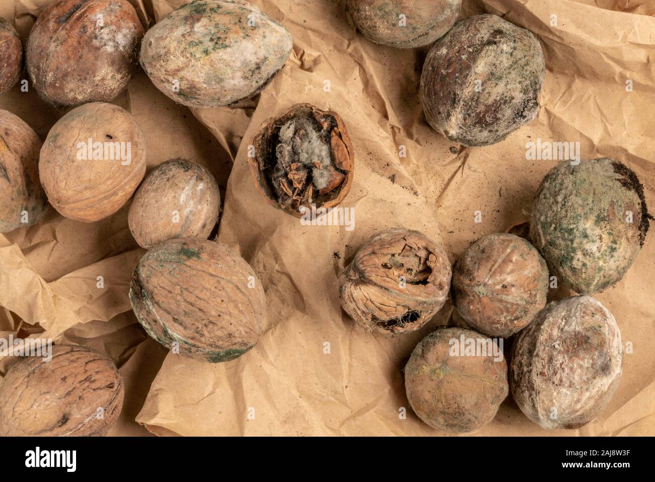 some mouldy unpleasant walnuts as a background Stock Photo - Alamy