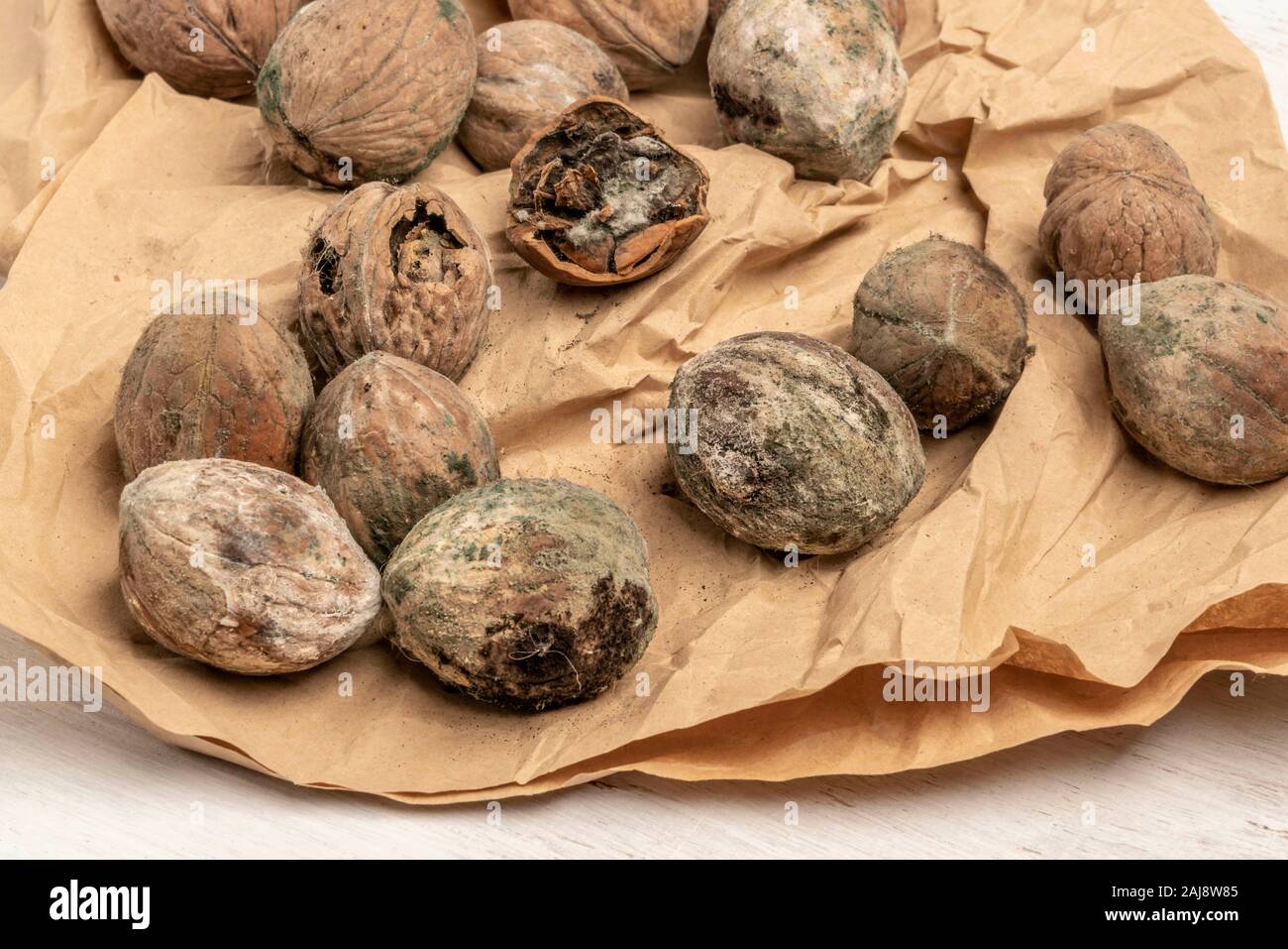 some mouldy unpleasant walnuts as a background Stock Photo - Alamy