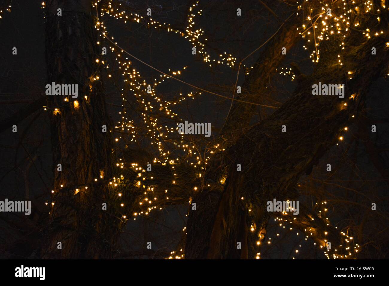 Led solar tree hi-res stock photography and images - Alamy