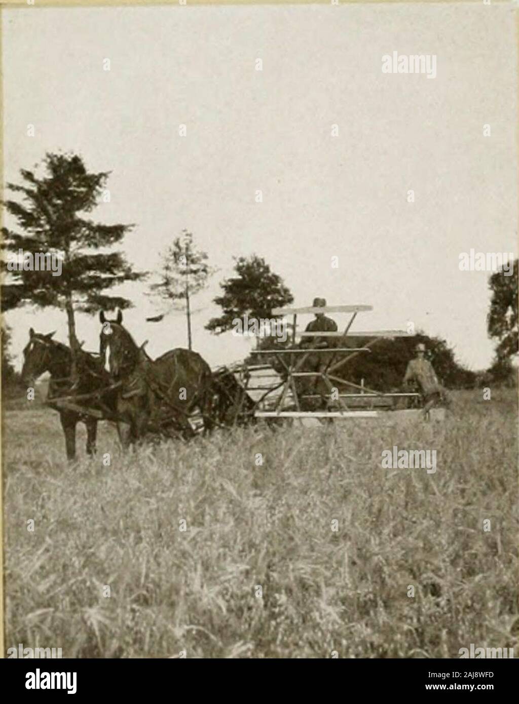 Harvest scenes of the world . Dominion GovernmentElxperimental Farm ...