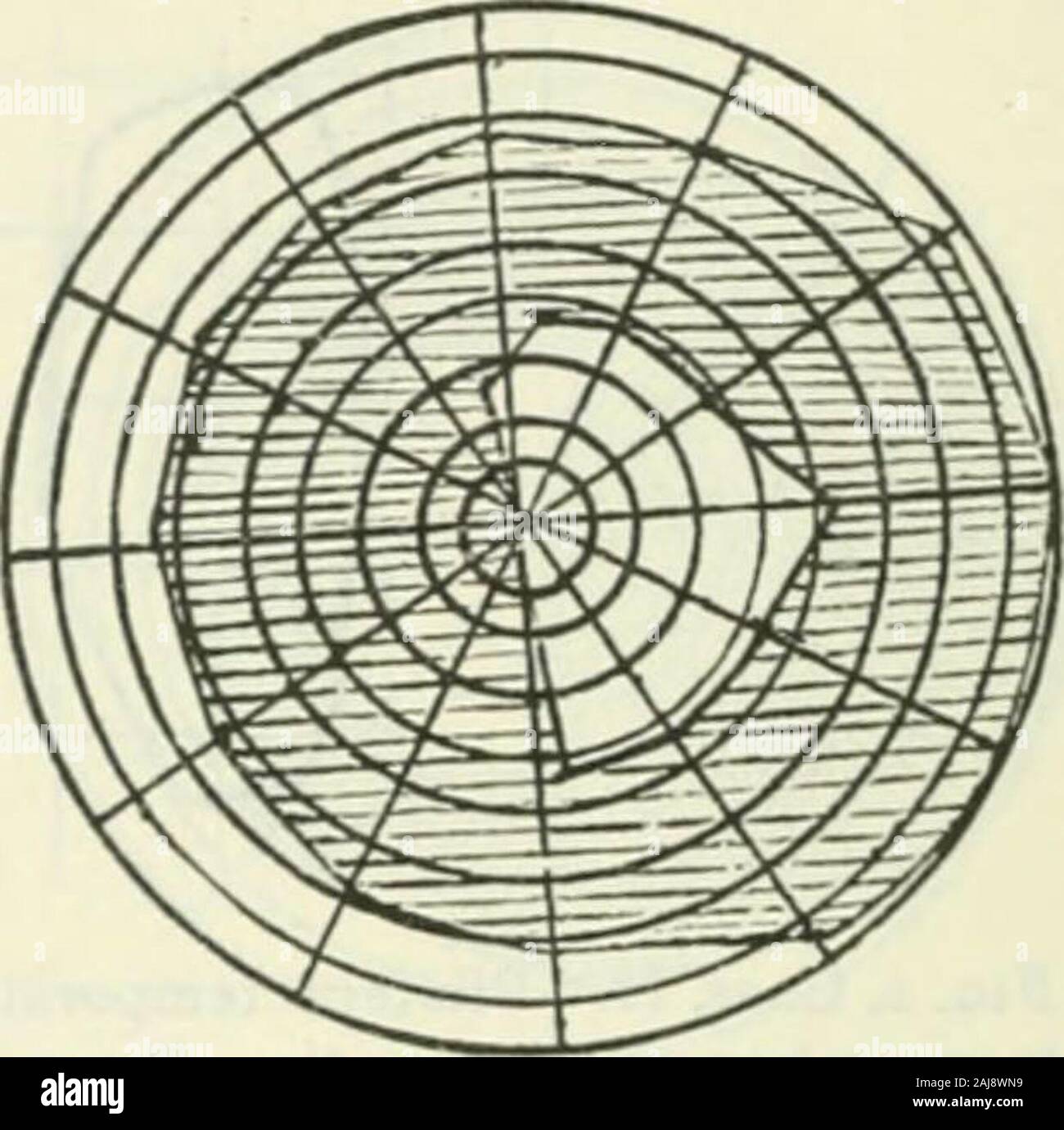 The Journal of nervous and mental disease . Fig. 3, Case III.—Left ...