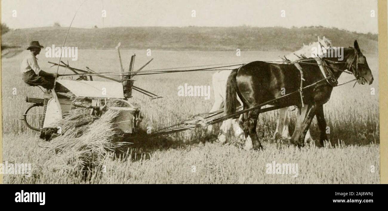 Harvest scenes of the world . The Disk Drill in Canada. Dominion ...