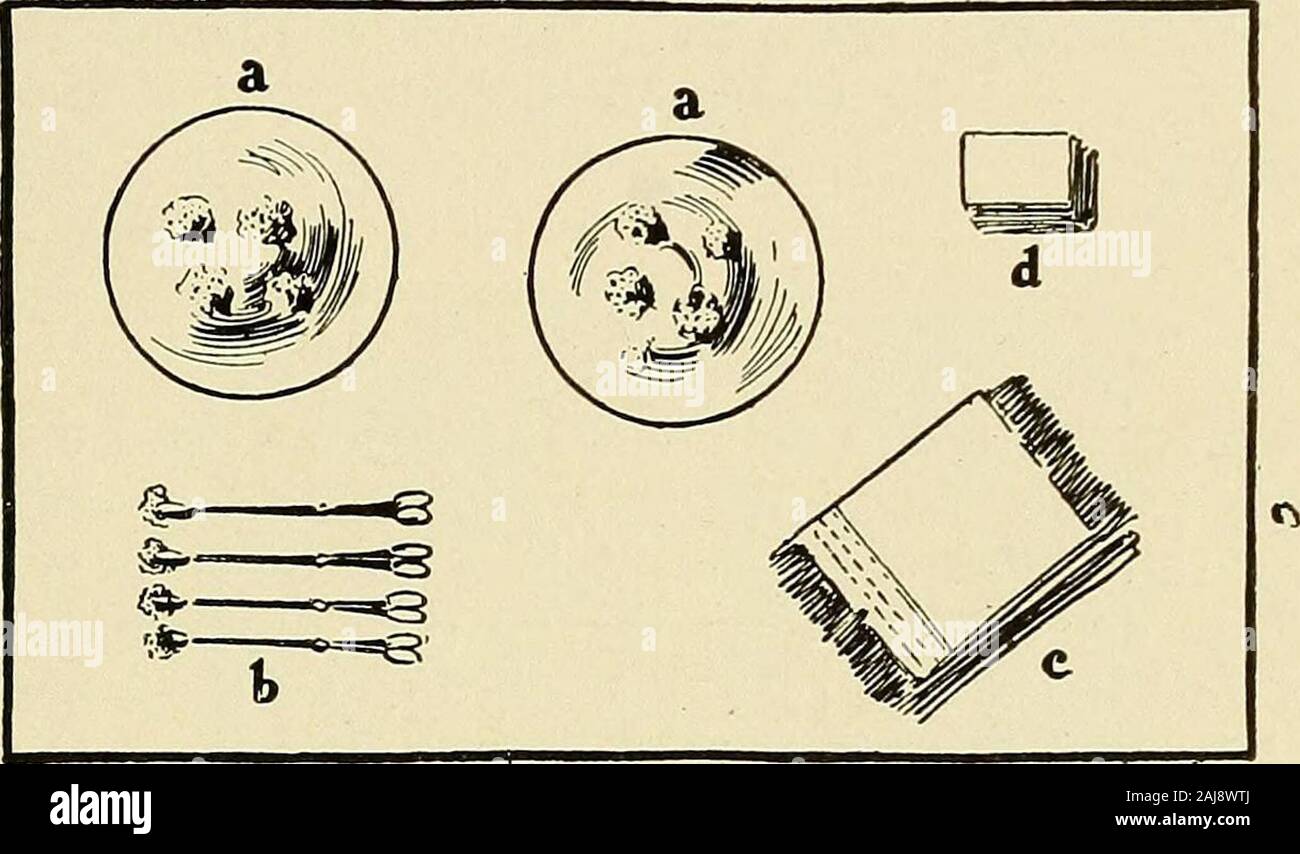 Surgical instruments in dish hi-res stock photography and images - Alamy