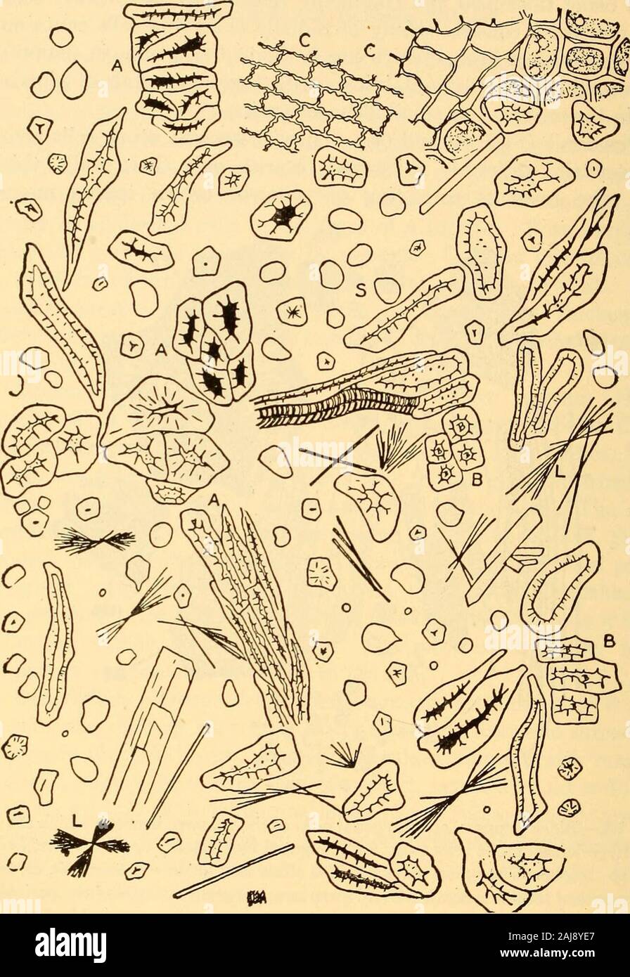Spiral markings hi-res stock photography and images - Alamy