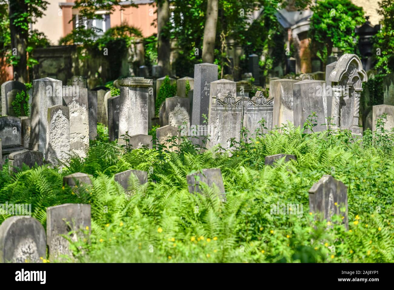 Juedischer friedhof schoenhauser allee hi-res stock photography and ...