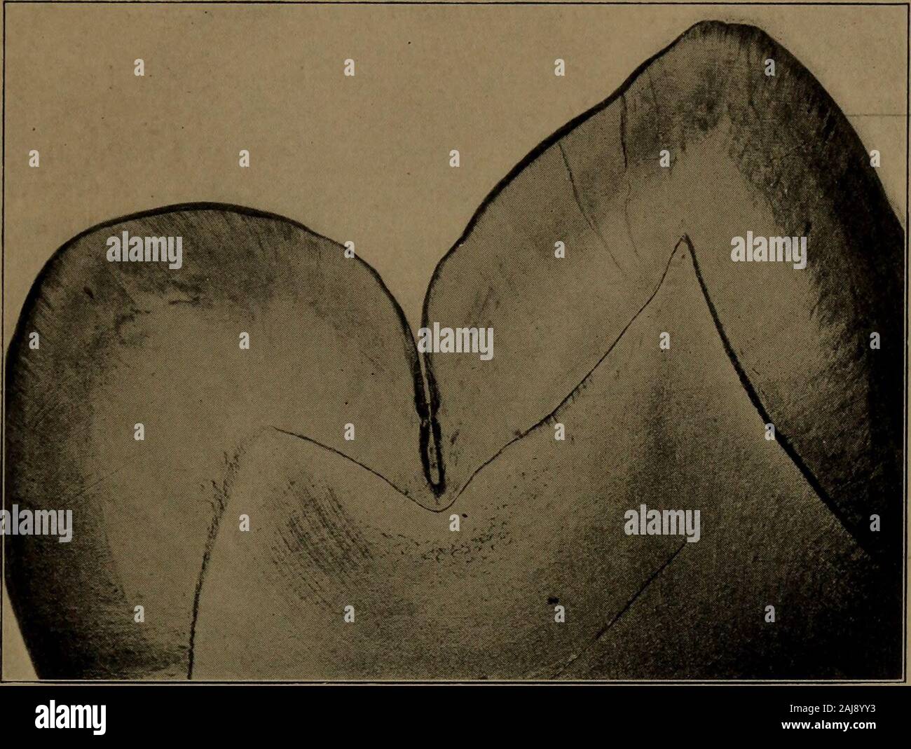 A text-book of dental histology and embryology, including laboratory ...