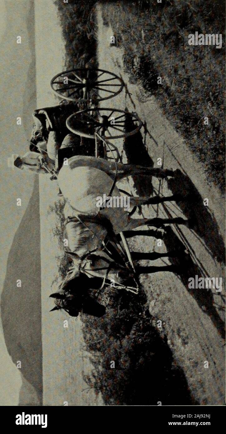 Sloped pasture hi-res stock photography and images - Alamy