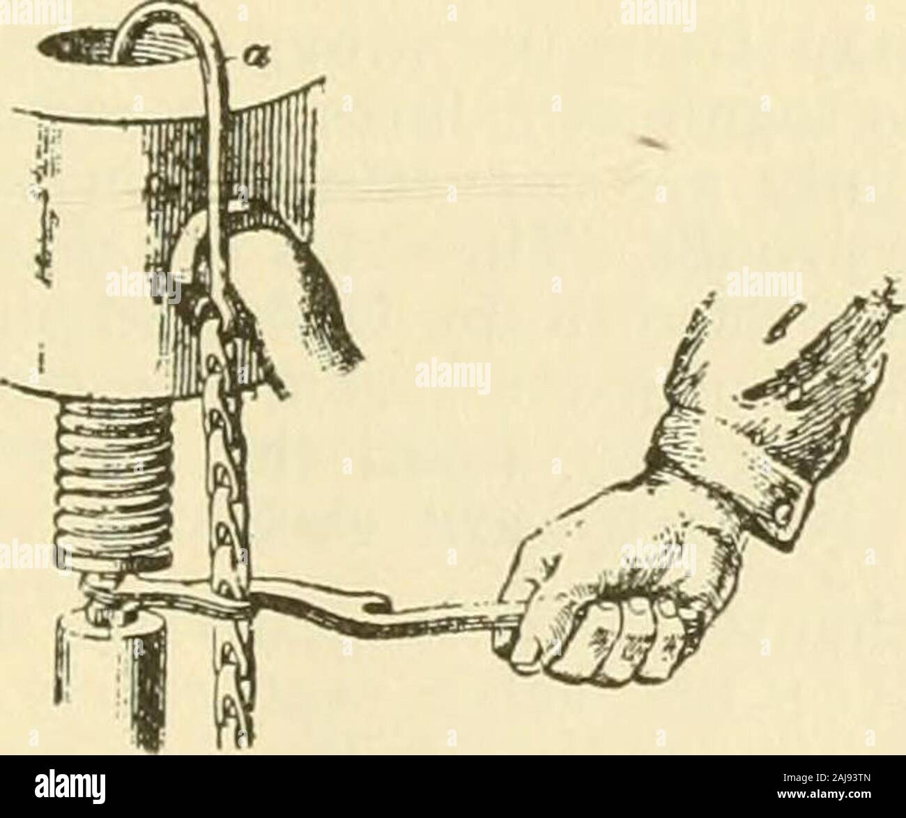 The supply train; its organization and work . t) of the push-rod guide ...
