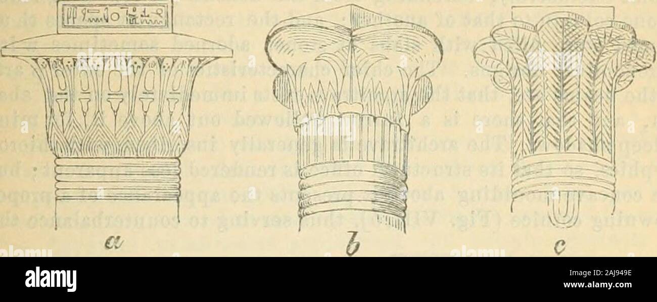 Papyrus stalks hi-res stock photography and images - Alamy