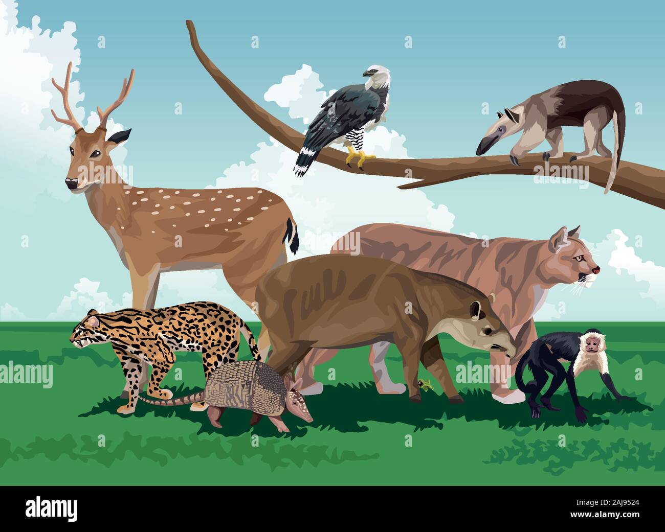 Antbear hi-res stock photography and images - Alamy