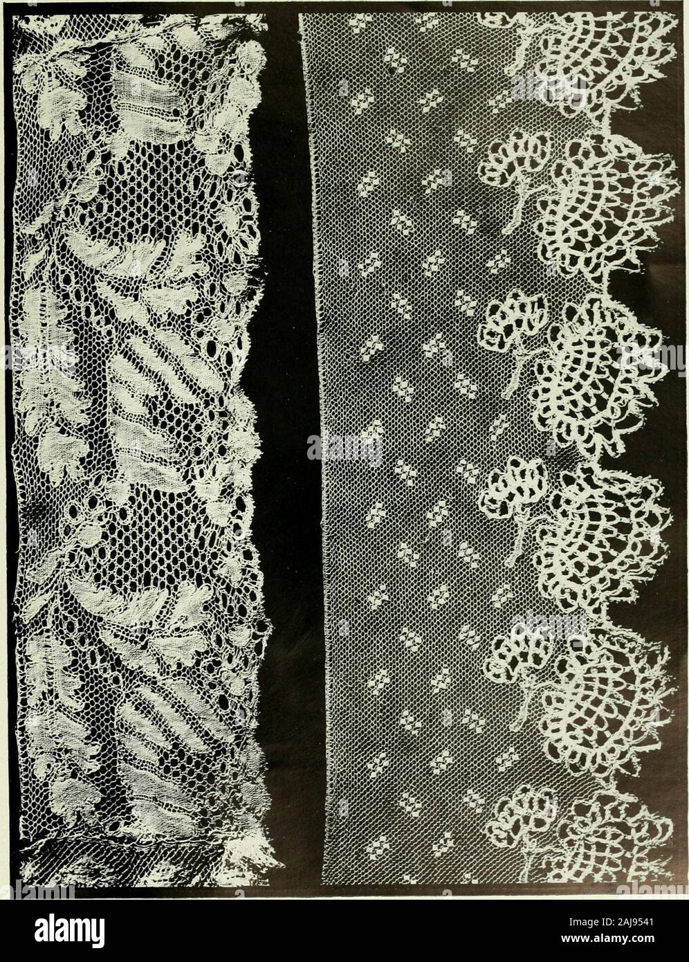 Lappet borders hi-res stock photography and images - Alamy