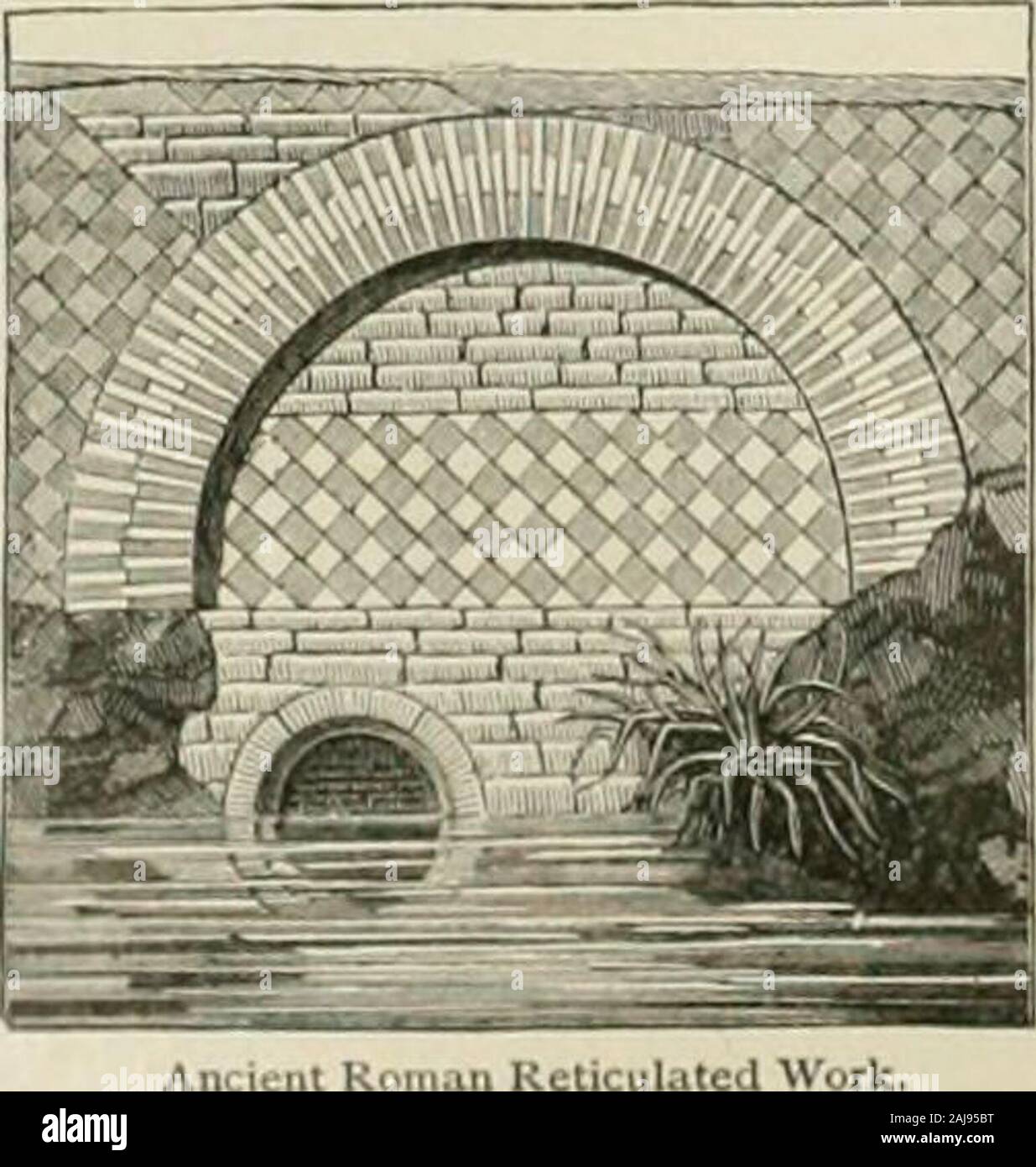 Fibrous joints hi-res stock photography and images - Alamy