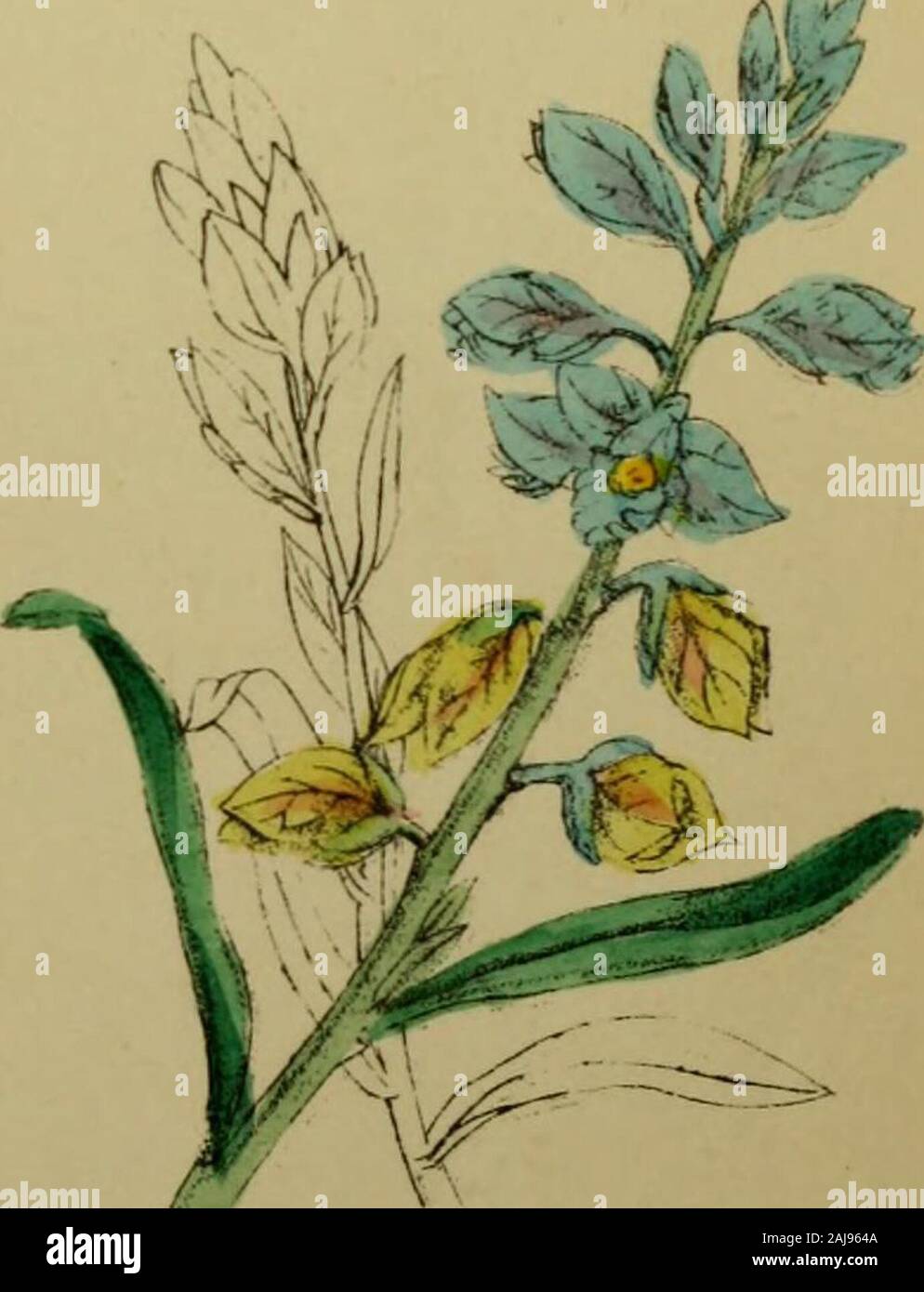 Et awn hi-res stock photography and images - Alamy