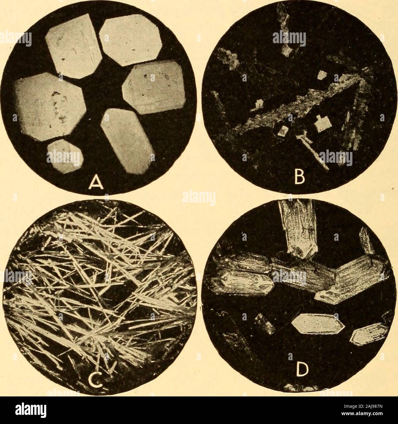 Benzoic Acid Crystals