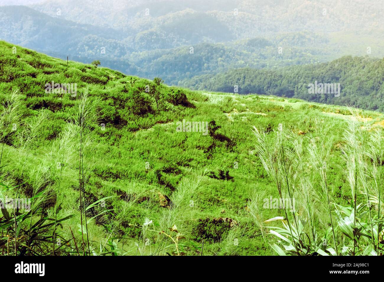 Beautiful view point of Elephant Hills View Point or " Nern Chang Suek ...