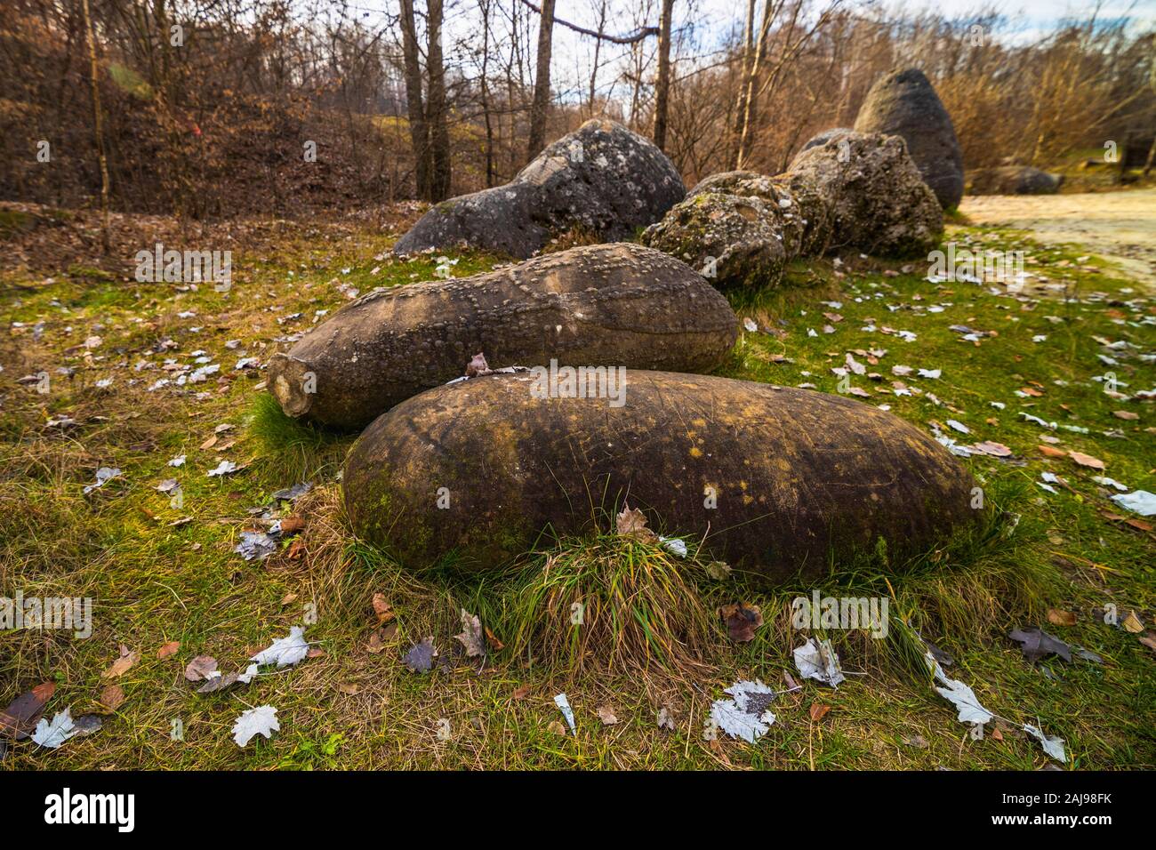 Trovantii – the strangest living stones in Romania Stock Photo - Alamy