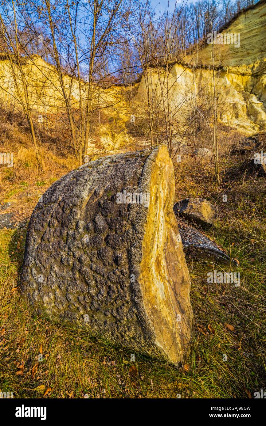 Trovantii – the strangest living stones in Romania Stock Photo - Alamy