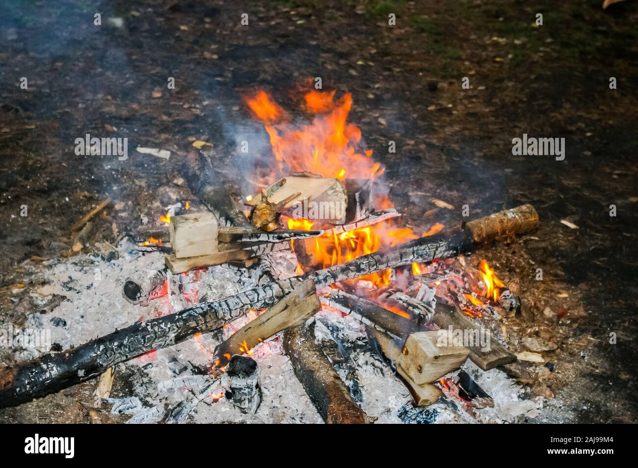 Closeup view on fire for barbecue on picnic in forest Stock Photo - Alamy