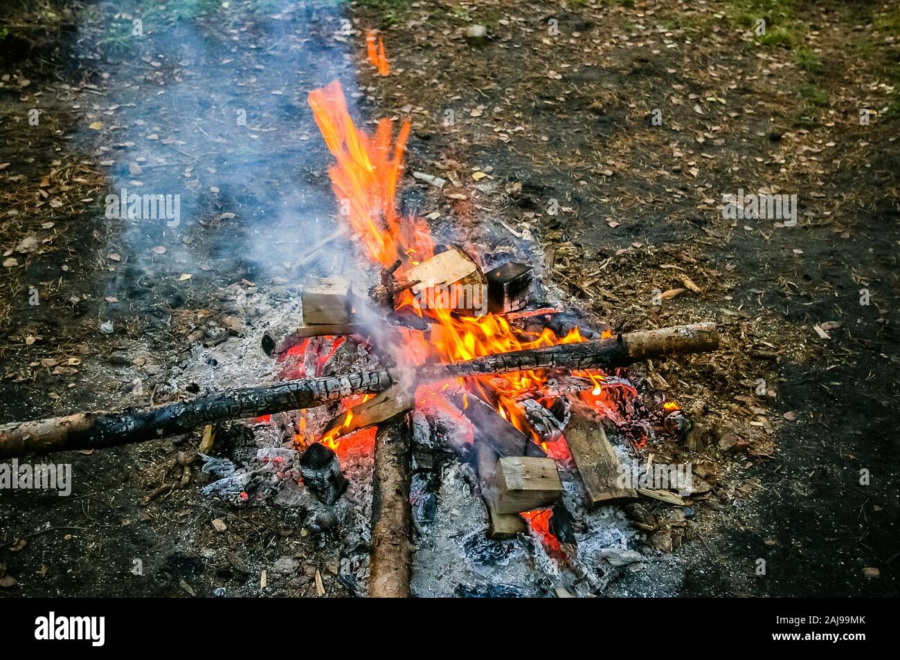 Closeup view on fire for barbecue on picnic in forest Stock Photo - Alamy