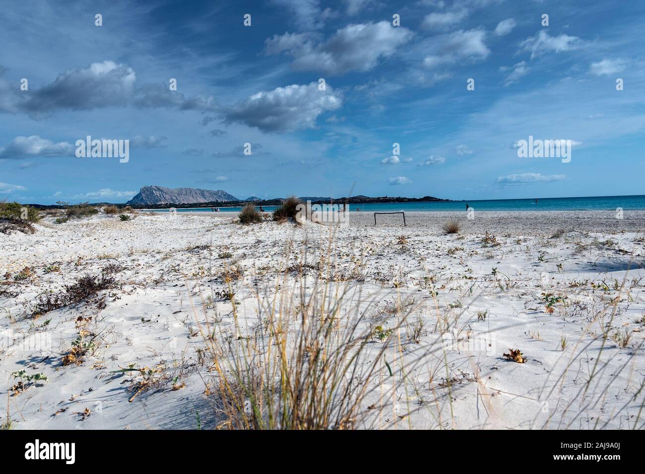 Sardinia sandy landscape on La Cinta beach next to San Teodoro, Italy ...