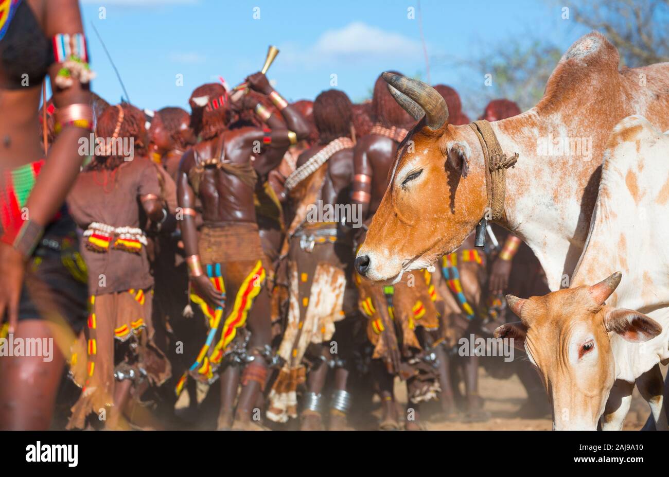 Hamer people, Omo valley, Naciones, Ethiopia, Africa Stock Photo - Alamy