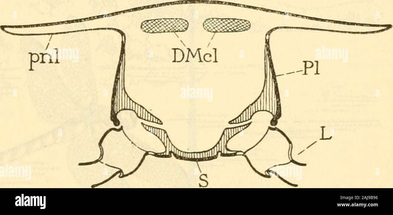 Annual report of the Board of Regents of the Smithsonian Institution ...