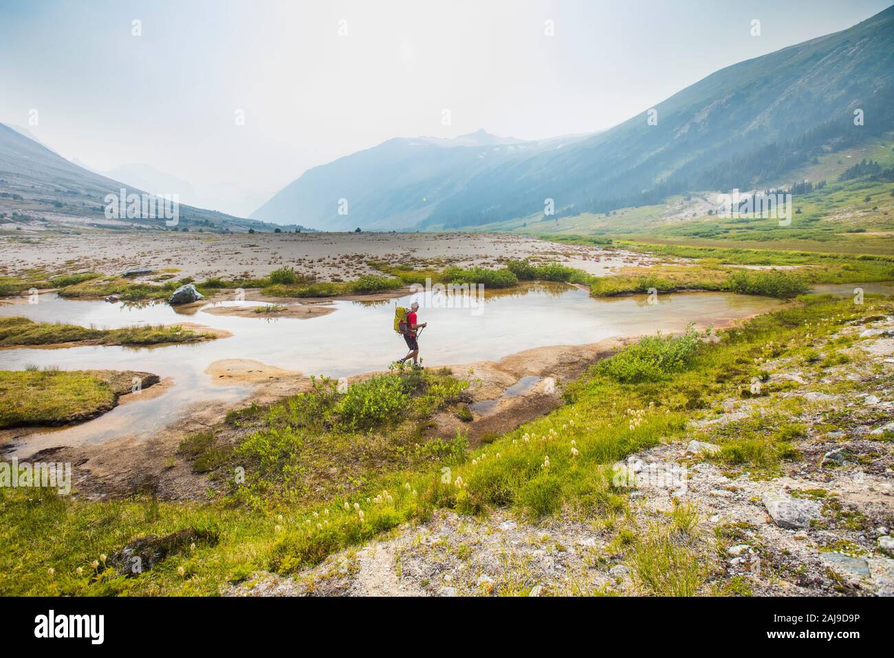 Side view of hiker backpacking in lush valley Stock Photo - Alamy