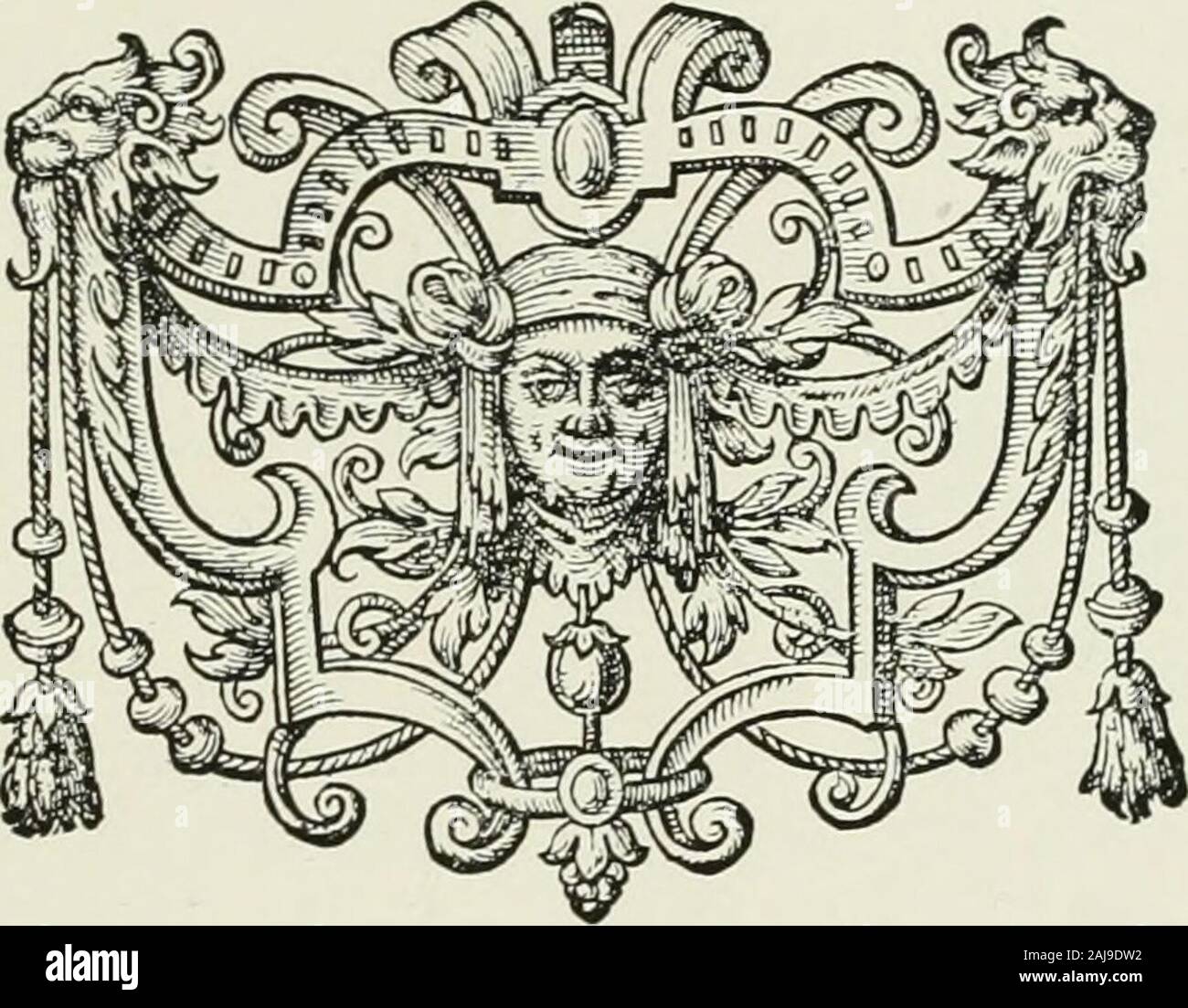 Castor glands hi-res stock photography and images - Alamy