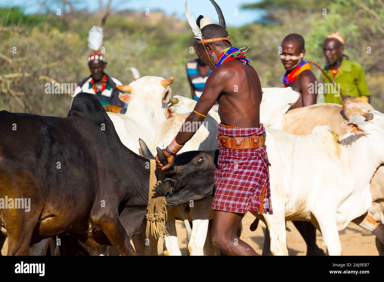 Hamer people, Omo valley, Naciones, Ethiopia, Africa Stock Photo - Alamy