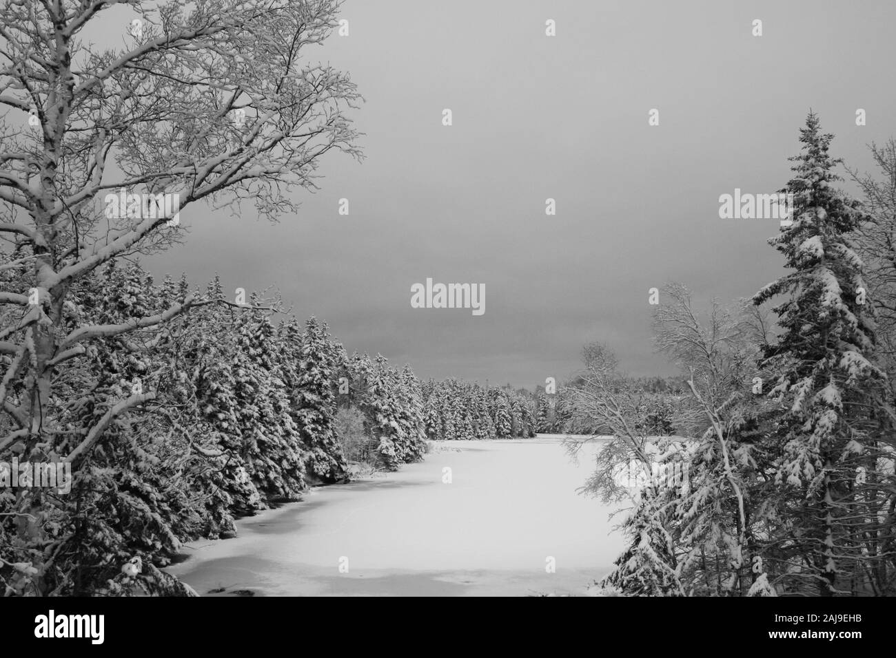 Trailside hi-res stock photography and images - Alamy