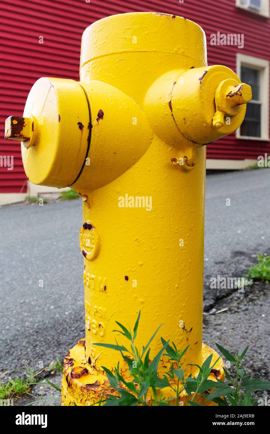 A yellow fire hydrant in St John's, Newfoundland and Labrador, Canada ...