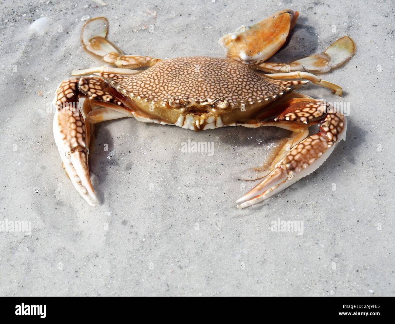 Fulf of mexico hi-res stock photography and images - Alamy