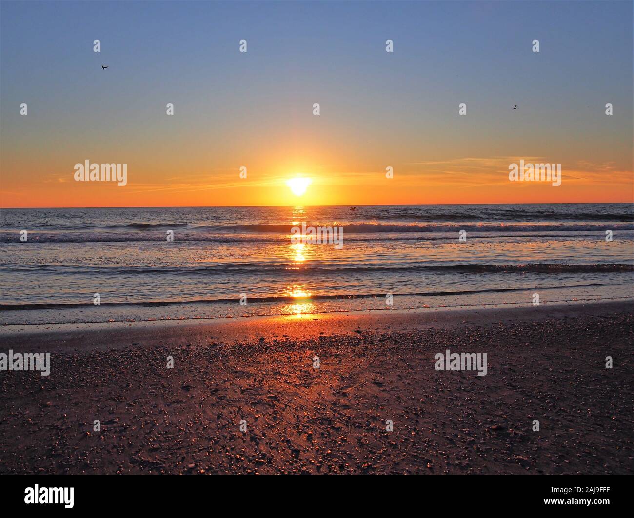 Lido key hi-res stock photography and images - Alamy