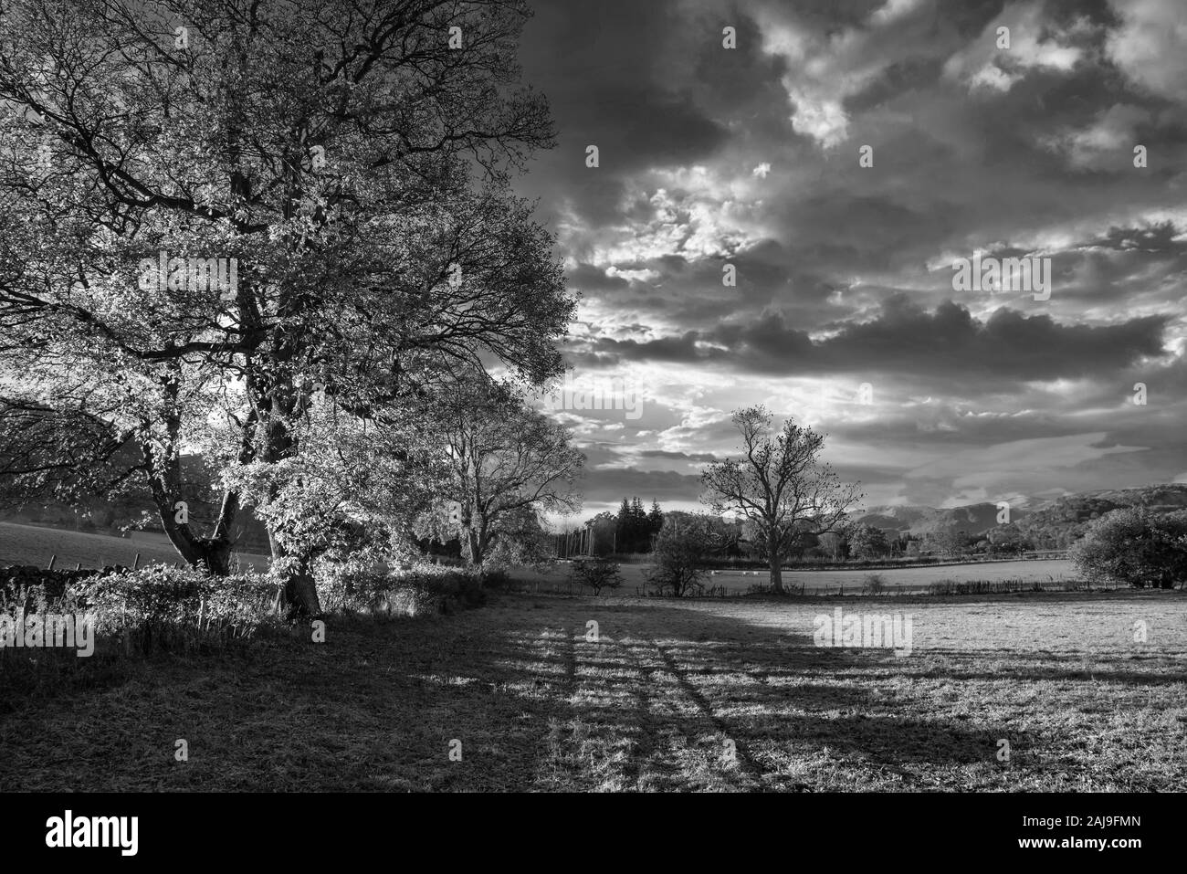 Beautiful Autumn Fall scenery landscape of countryside in Lake District ...