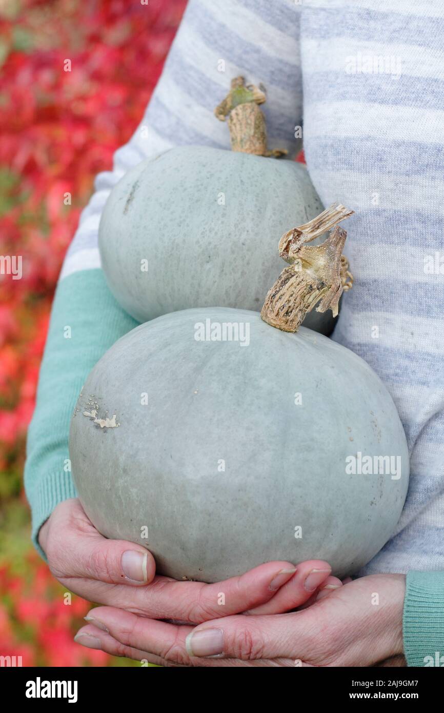 Crown prince squash hi-res stock photography and images - Alamy