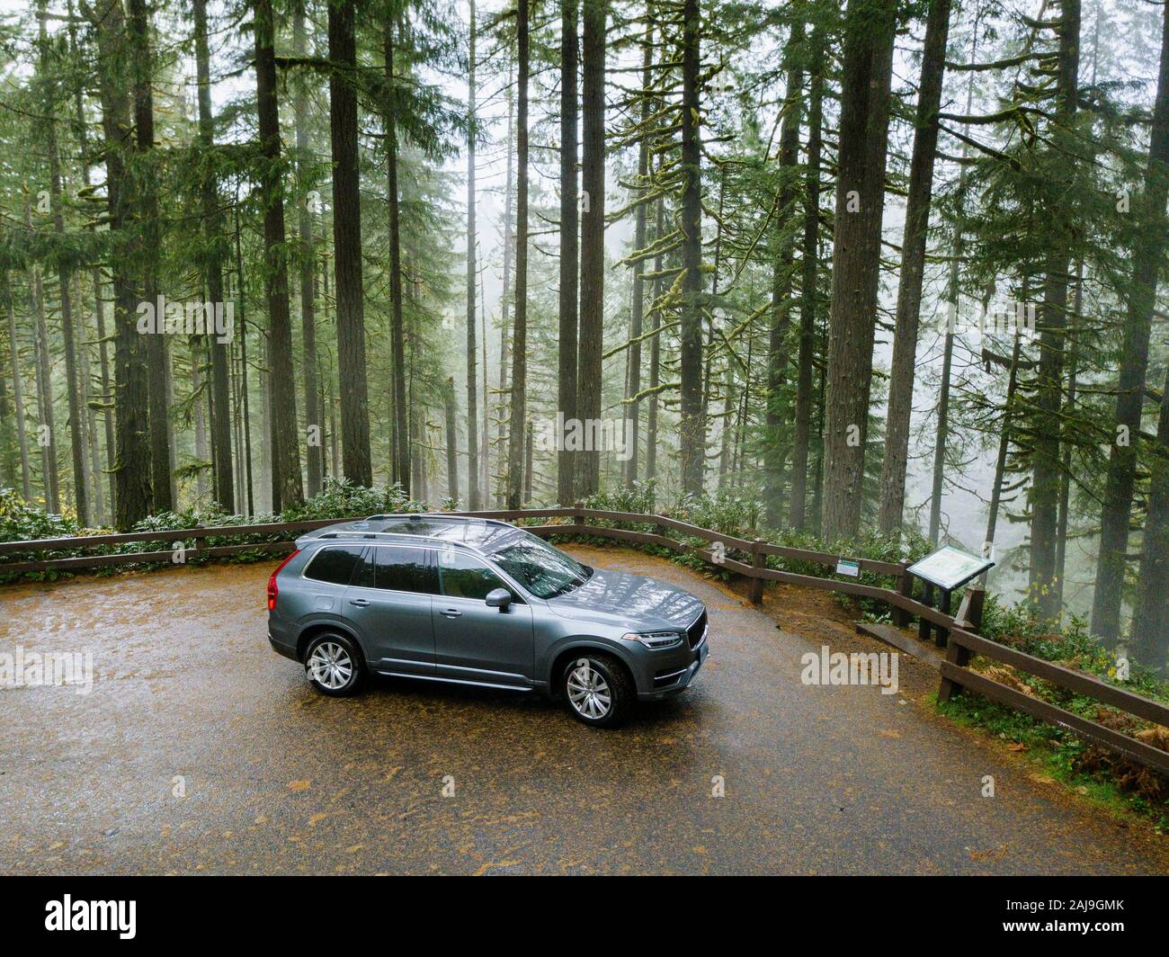 SUV automobile parked at pull off on forest road Stock Photo - Alamy