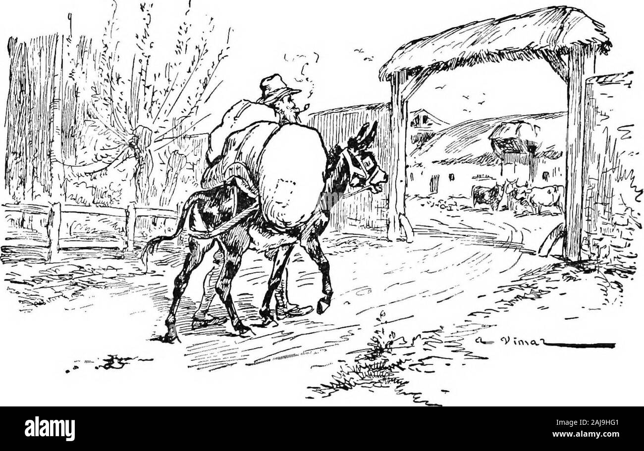 The curly-haired hen . lateron how pleased I shall be to have a nice ...